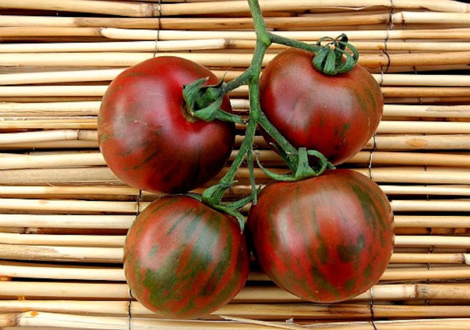Black Zebra cherry tomato 15 heirloom seeds showy fruit | Etsy