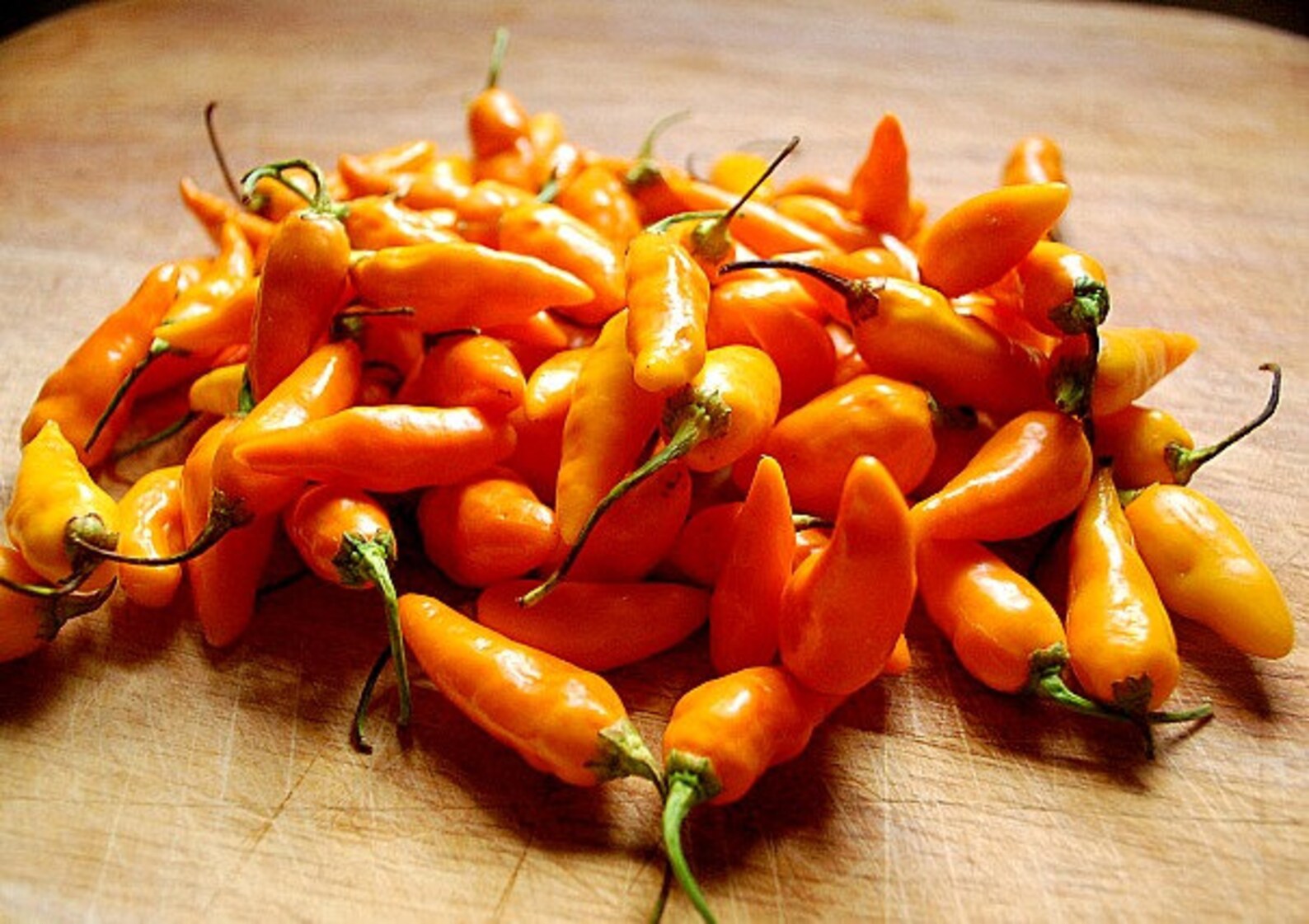 Datil Pepper World's Hottest Chile Fruity Flavor 10 - Etsy