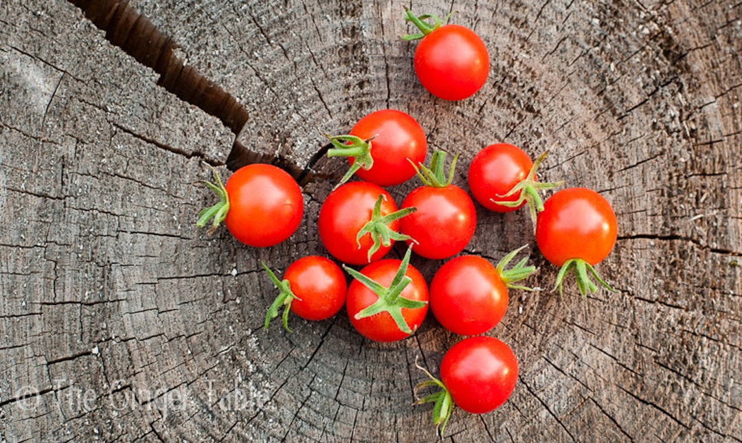 Mexico Midget, Tiny Heirloom Tomato, 10 Seeds, Currant Cherry, Big ...