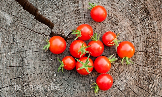 Mexico Midget tiny heirloom tomato 15 seeds currant cherry | Etsy