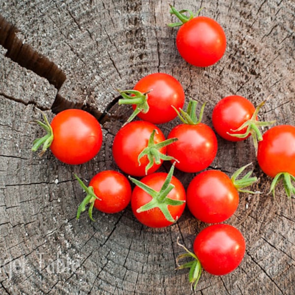 Mexican Midget Tomatoes Seeds - Etsy