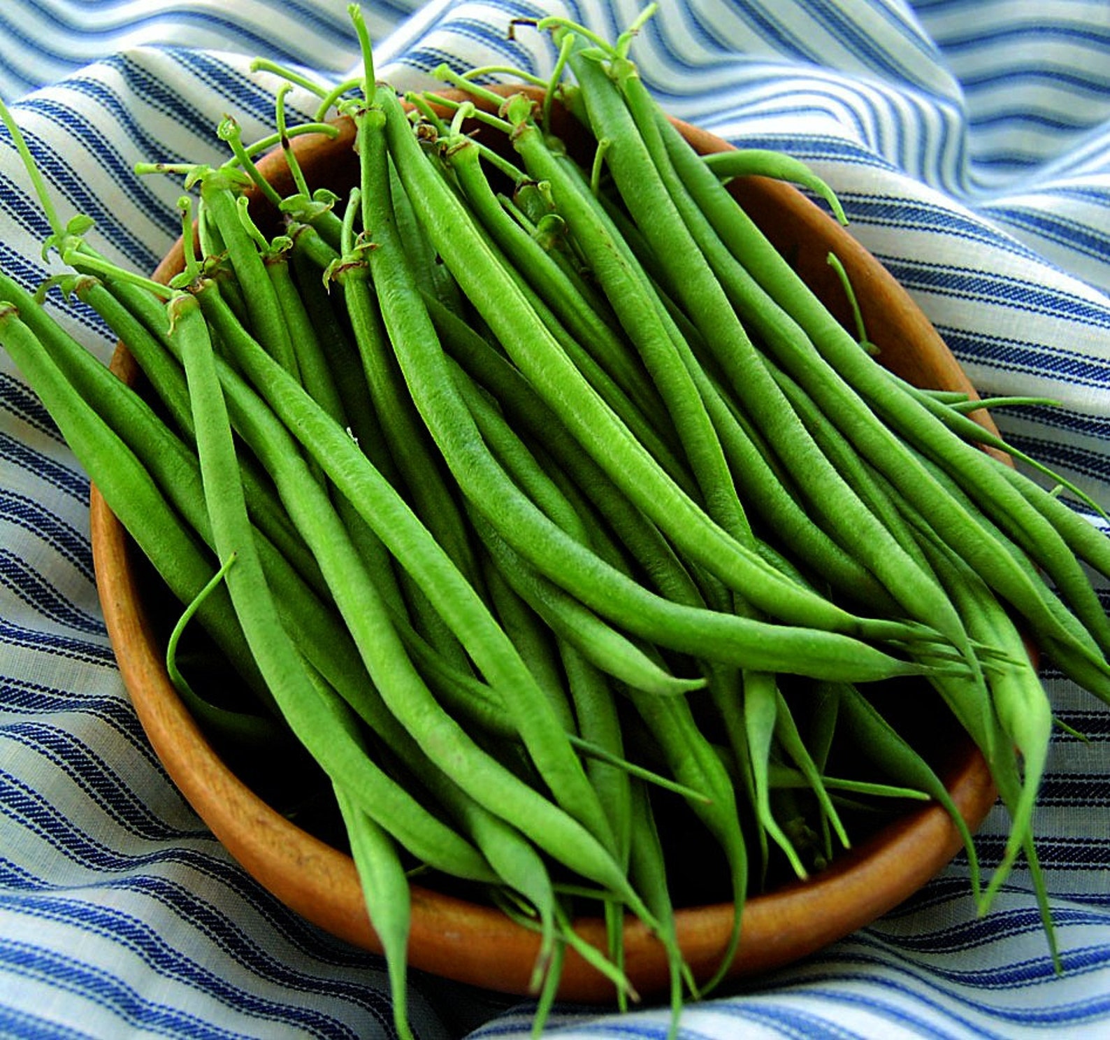 French Green Beans, Fin De Bagnol, 15 Seeds Certified Organic, French ...