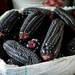 Aztec Black Corn, Ancient Heirloom, 20 Seeds Non GMO, Early Plants ...