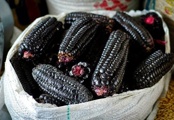Aztec Black Corn Ancient Heirloom 20 Seeds Non GMO Early - Etsy