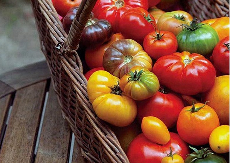 Giant Heirloom Tomato Collection 75 Seeds Black Krim Purple - Etsy