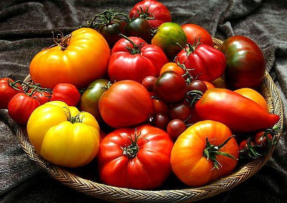 Giant Heirloom Tomato Collection 75 Seeds Black Krim Purple - Etsy