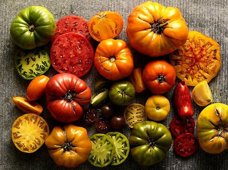 Giant Heirloom Tomato Collection 75 Seeds Black Krim Purple - Etsy