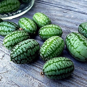 Mouse Melon, 15 Seeds, Cucamelon, Teeny Crunchy Fruit, Tasty Heirloom ...