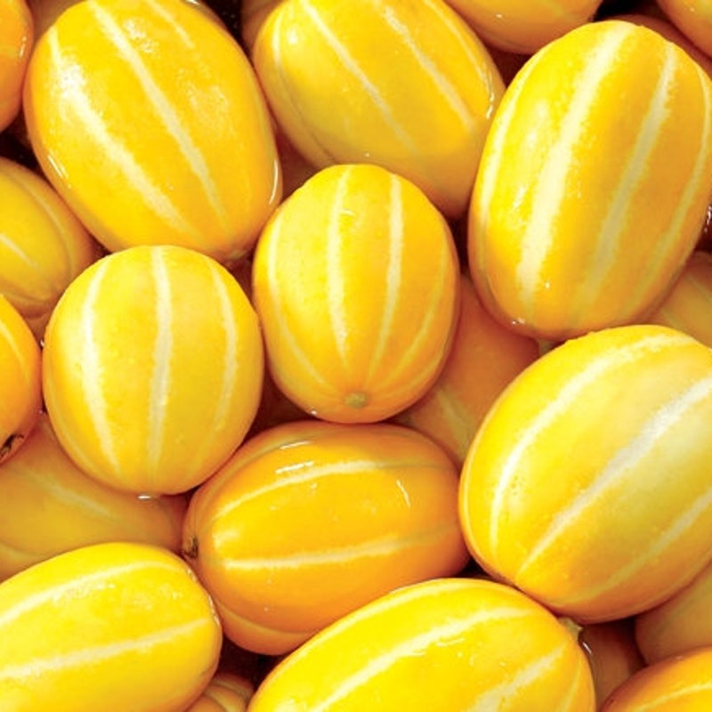 SmartSeedsEmporium - Etsy