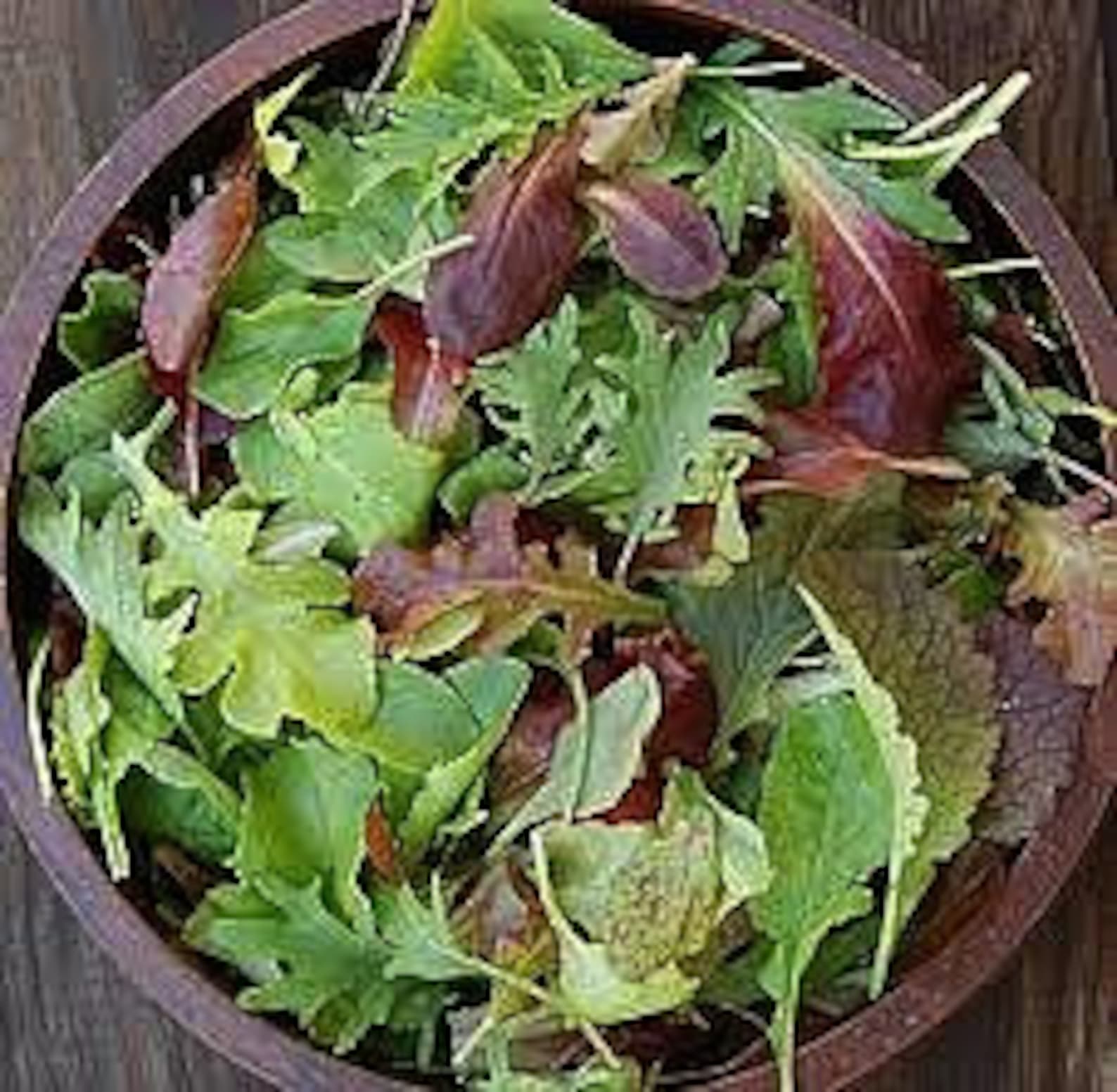 Baby Lettuce Seed Mix Bulk 2000 Seeds Ten Tasty Heirlooms - Etsy
