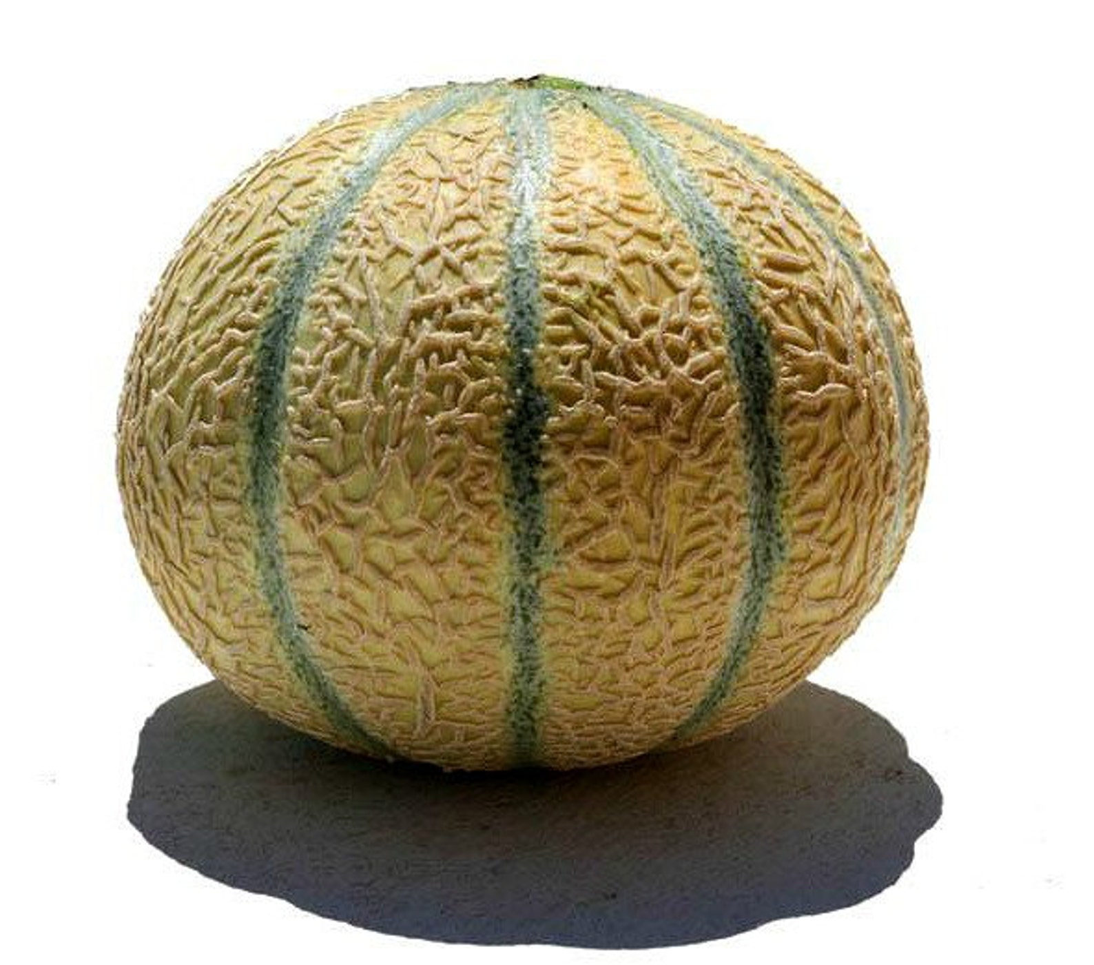 Charentais Melon, French Heirloom, Miniature Fruit, 10 Seeds, Super ...