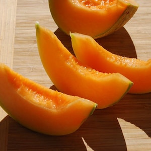 Charentais Melon, French Heirloom, Miniature Fruit, 10 Seeds, Super ...