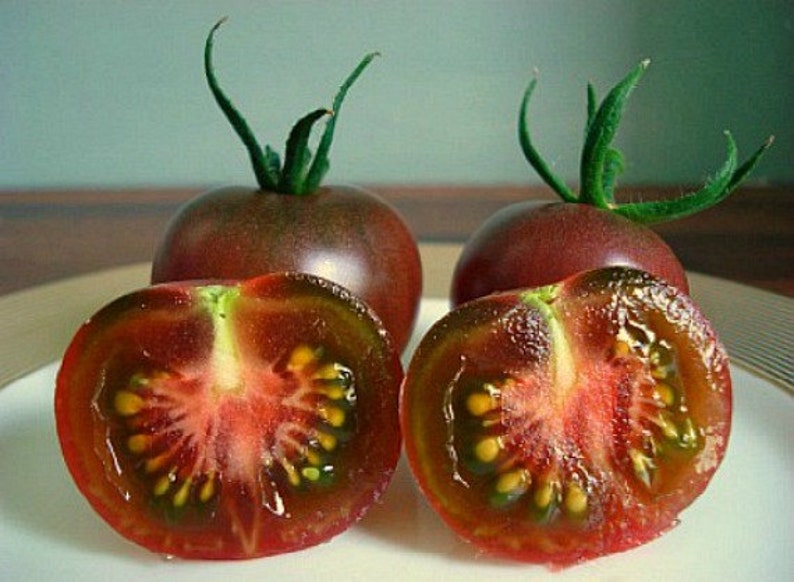 Black Zebra cherry tomato 15 heirloom seeds showy fruit | Etsy