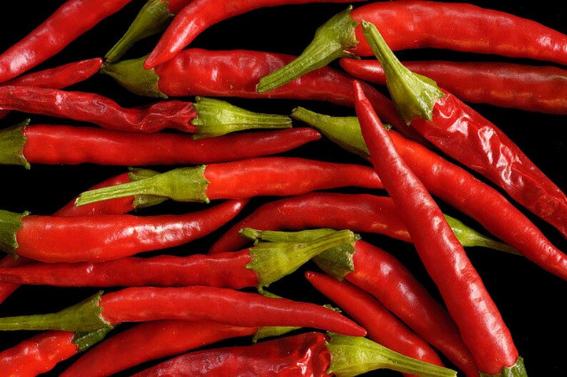 Takanotsume Pepper Hawks Claw 10 Seeds Japanese Heirloom - Etsy