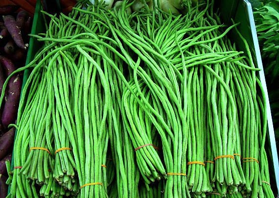 Green Noodle Bean, 10 Seeds, Yard Long Bean, Asparagus Bean, Vigorous ...