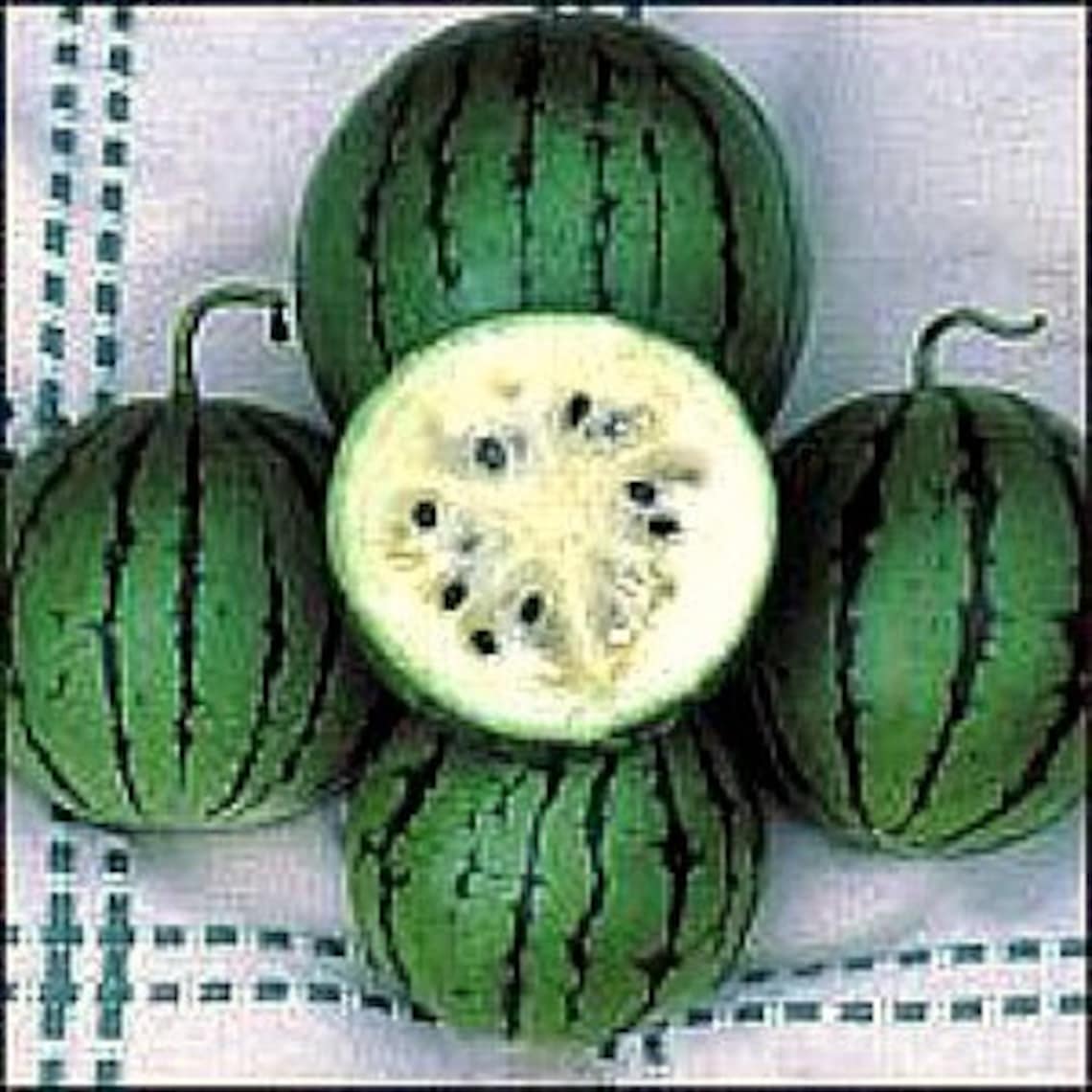 White Watermelon Sweet Siberian, Japanese Heirloom, Rare Seeds, Super ...