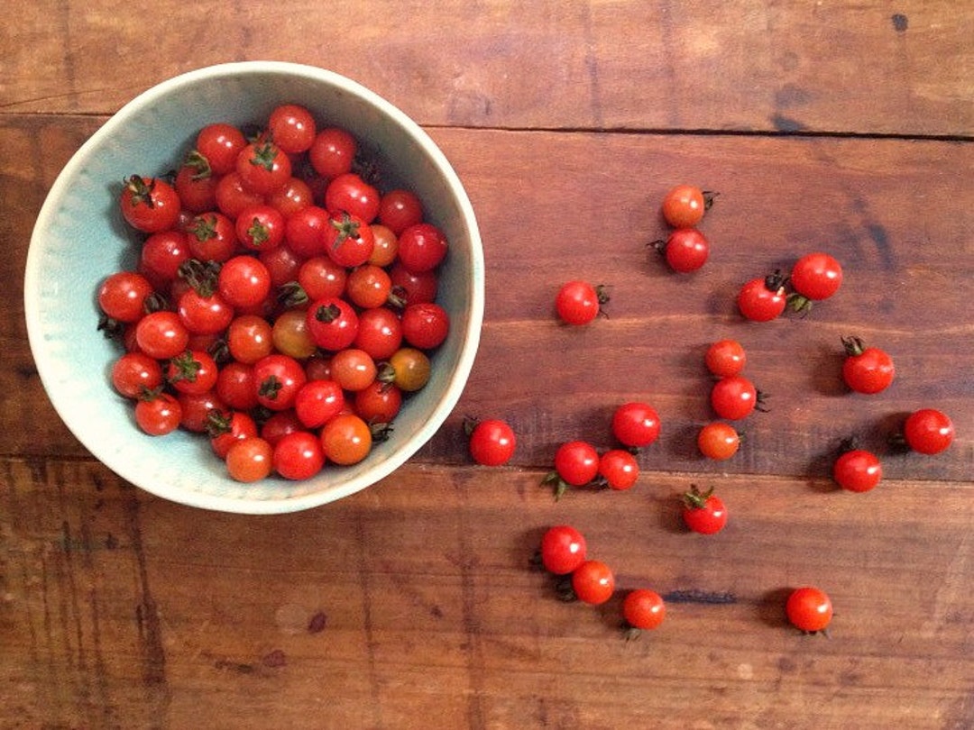 Matt's Wild Cherry Tomato, 15 Seeds, Mexican Heirloom, Tiny Red Fruit ...