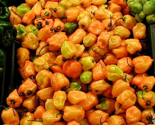 Trinidad Perfume Sweet Chili Pepper Fruity Flavor No Heat | Etsy