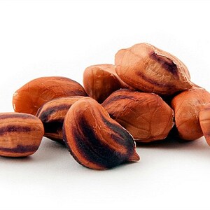 Wild Jungle Peanuts, 15 Seeds, Organic Heirloom, From the Amazon ...