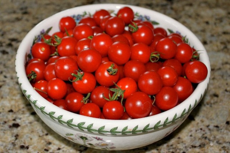 Rainbow Cherry Tomato Collection, Five Tasty Heirlooms, 75 Seeds, Early ...