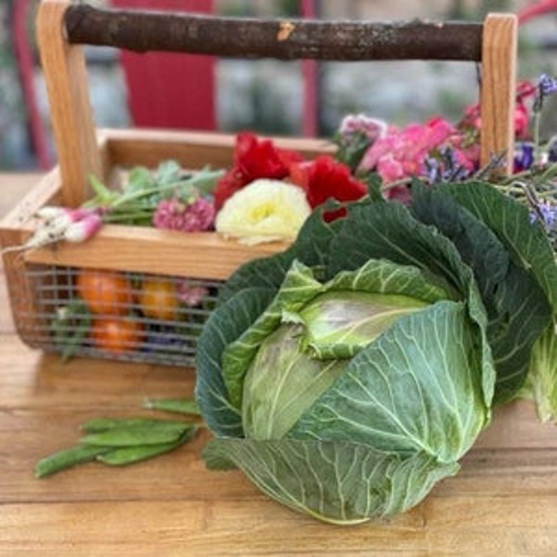 Garden Harvest Basket - Etsy