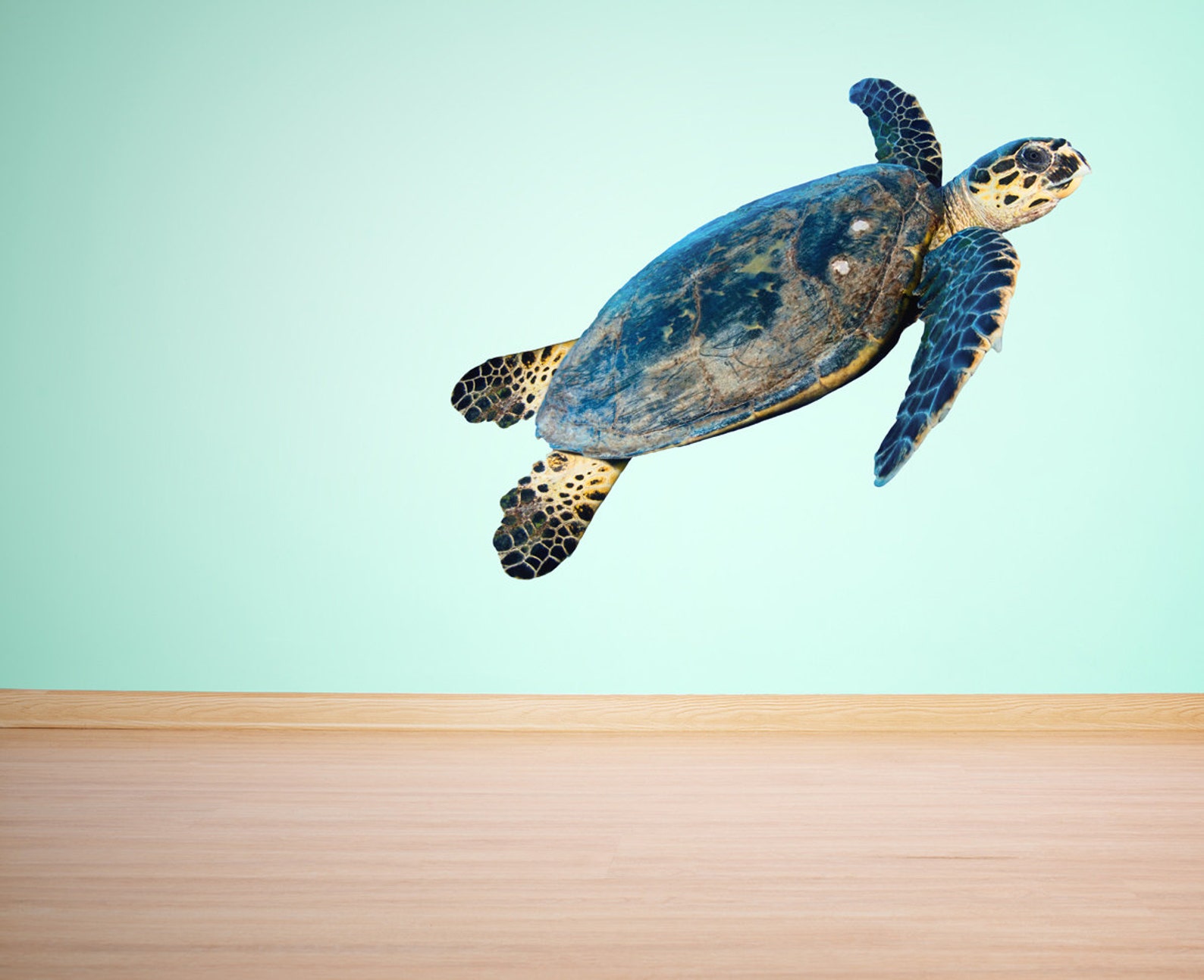 Large Sea Turtle Adhesive Wall Decal Sea Turtle Wall Art - Etsy
