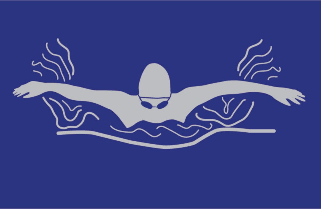Butterfly Stroke Swimmer Wall Decal: Sports Teen Room Decor - Etsy