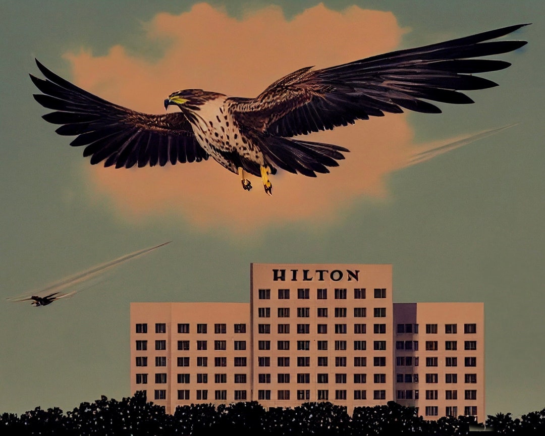 The Origin of Nothlit Revealed Hilton Hotel - Tobias Red Tailed Hawk ...