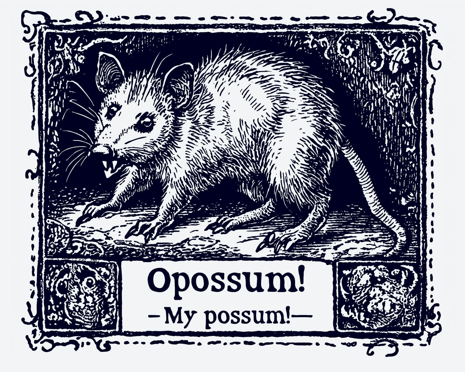 Opossum My Possum - Walt Whitman Captain Poem Poetry - Marsupial Black ...