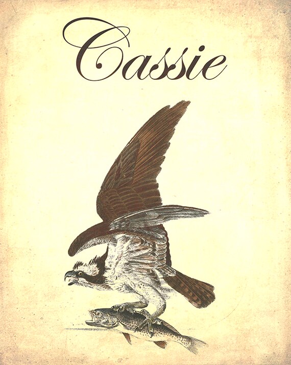 Animorphs Cassie Morphs