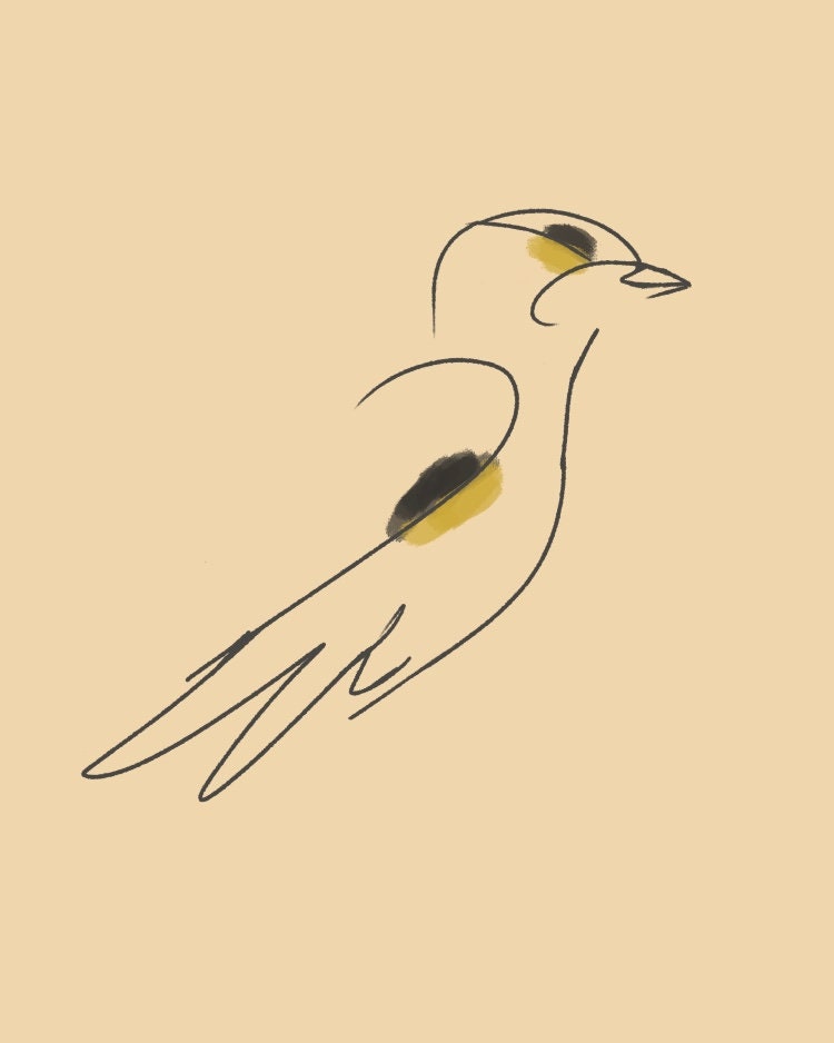 American Goldfinch Bird Minimalism Line Drawing Black Yellow 8x10 Inch ...