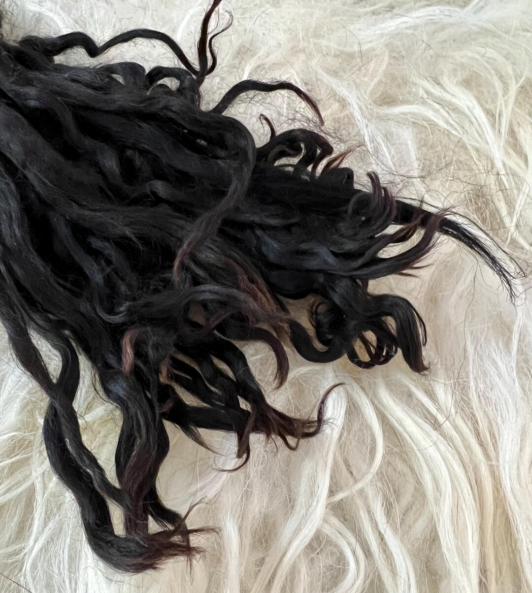 Suri Alpaca Locks, Black, Undyed, Washed, 1 Ounce, Long, Doll Hair ...