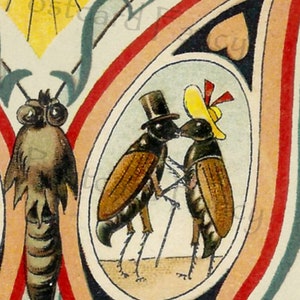 Fantasy Spring Beetles and Butterfly, Instant DIGITAL Download, Vintage ...