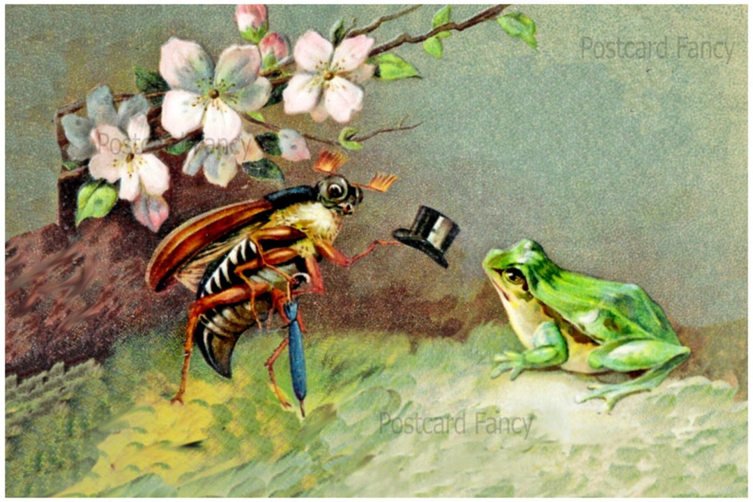 SPRING Has Sprung, Instant DIGITAL Download, FANTASY Frog, Flowers ...