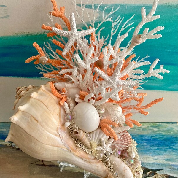 Shell Arrangements - Etsy