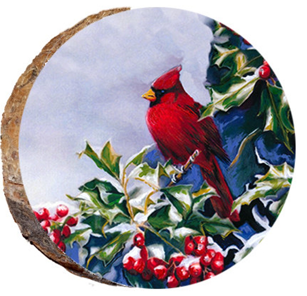 Cardinal in a Holly Tree - DAI062 - Etsy