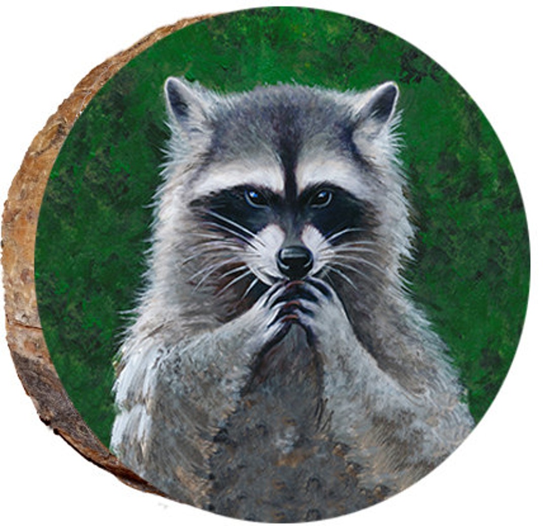 Mischievous Looking Raccoon - DAS024 - Etsy