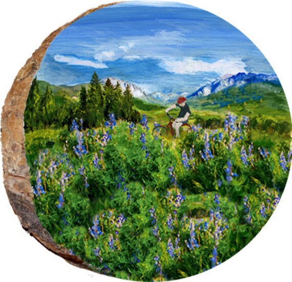 401 Trail Colorado DPS170 - Etsy