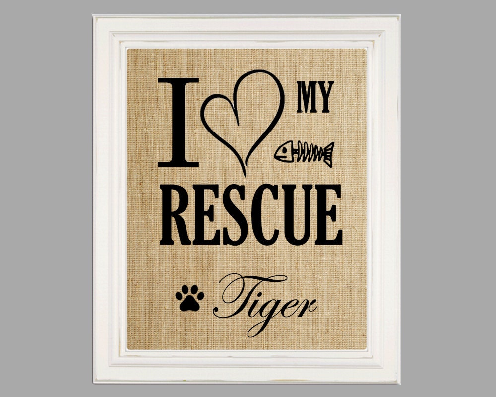 Custom Animal Rescue Sign I Love My Rescue Dog Rescue Cat Pet | Etsy