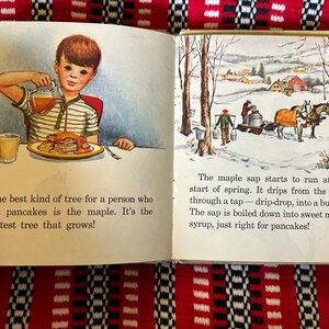 Vintage 1970 "tall Tree Small Tree” by Mabel Watts Whitman Tell-a-tale ...