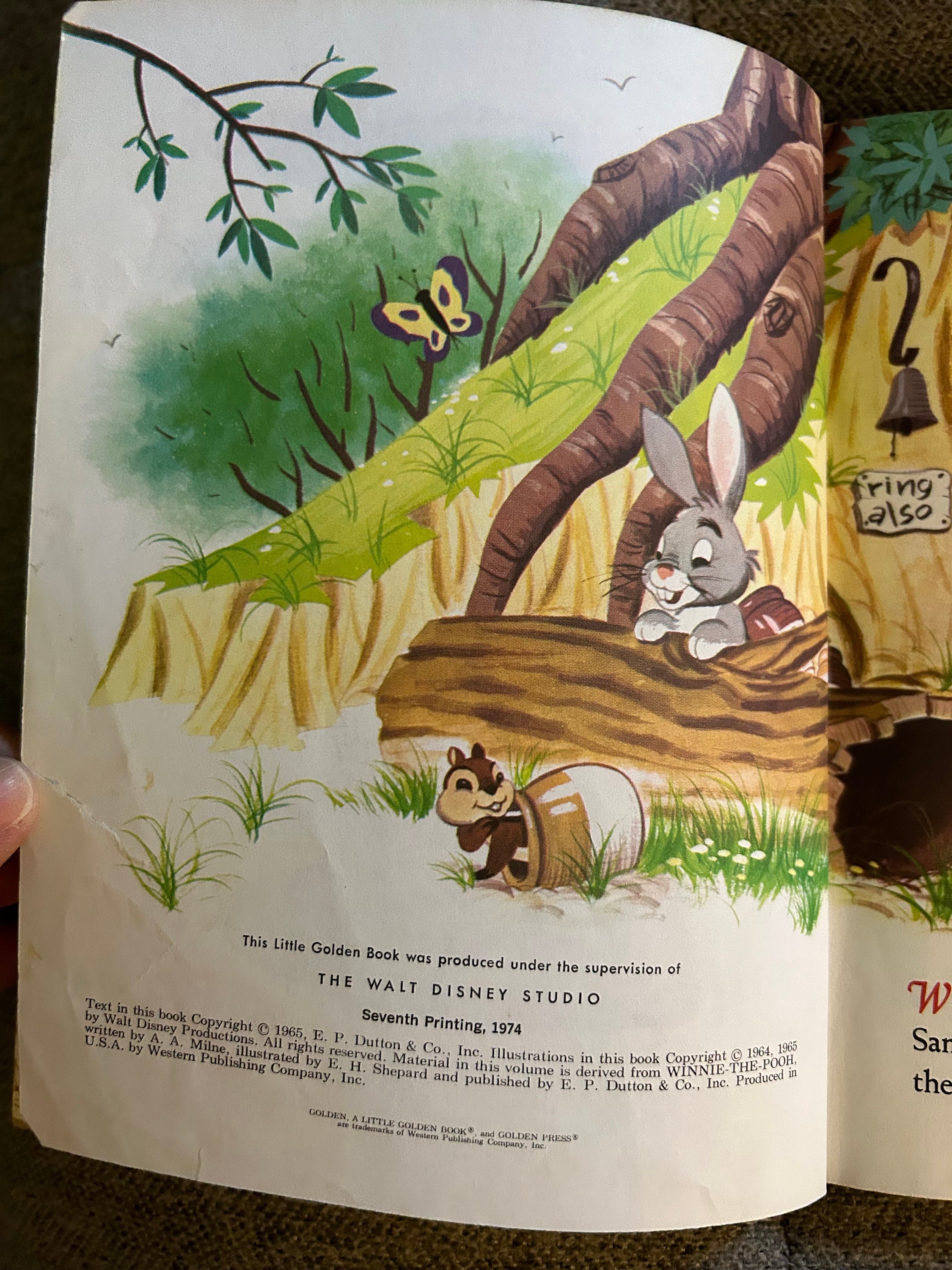 Vintage 1974 Walt Disney Presents Winnie-the-pooh Meets Gopher a Little ...