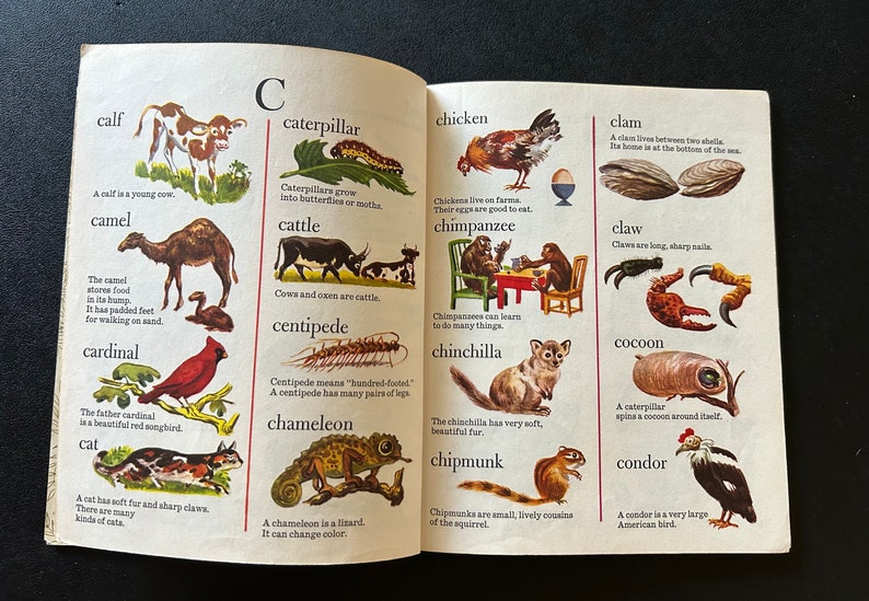 Vintage 1979 Animal Dictionary A Little Golden Book by Jane Werner ...