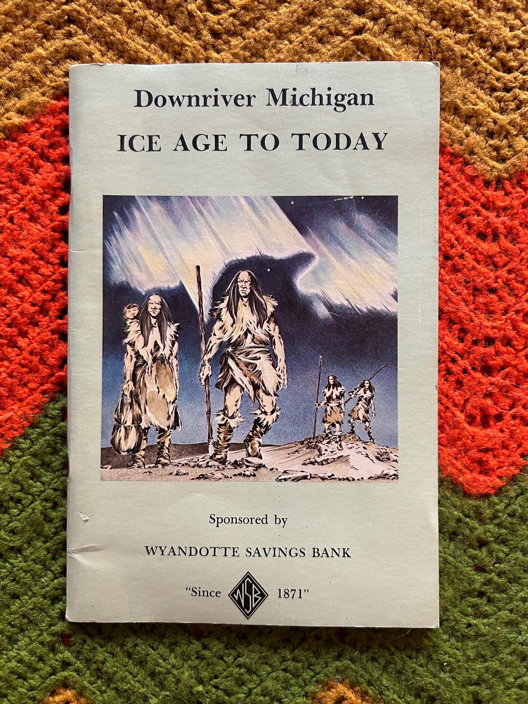 Vintage 1976 downriver Michigan Ice Age to Today Book Wyandotte Savings ...