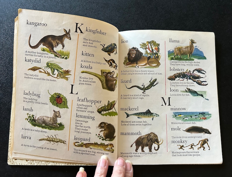Vintage 1979 Animal Dictionary A Little Golden Book by Jane Werner ...