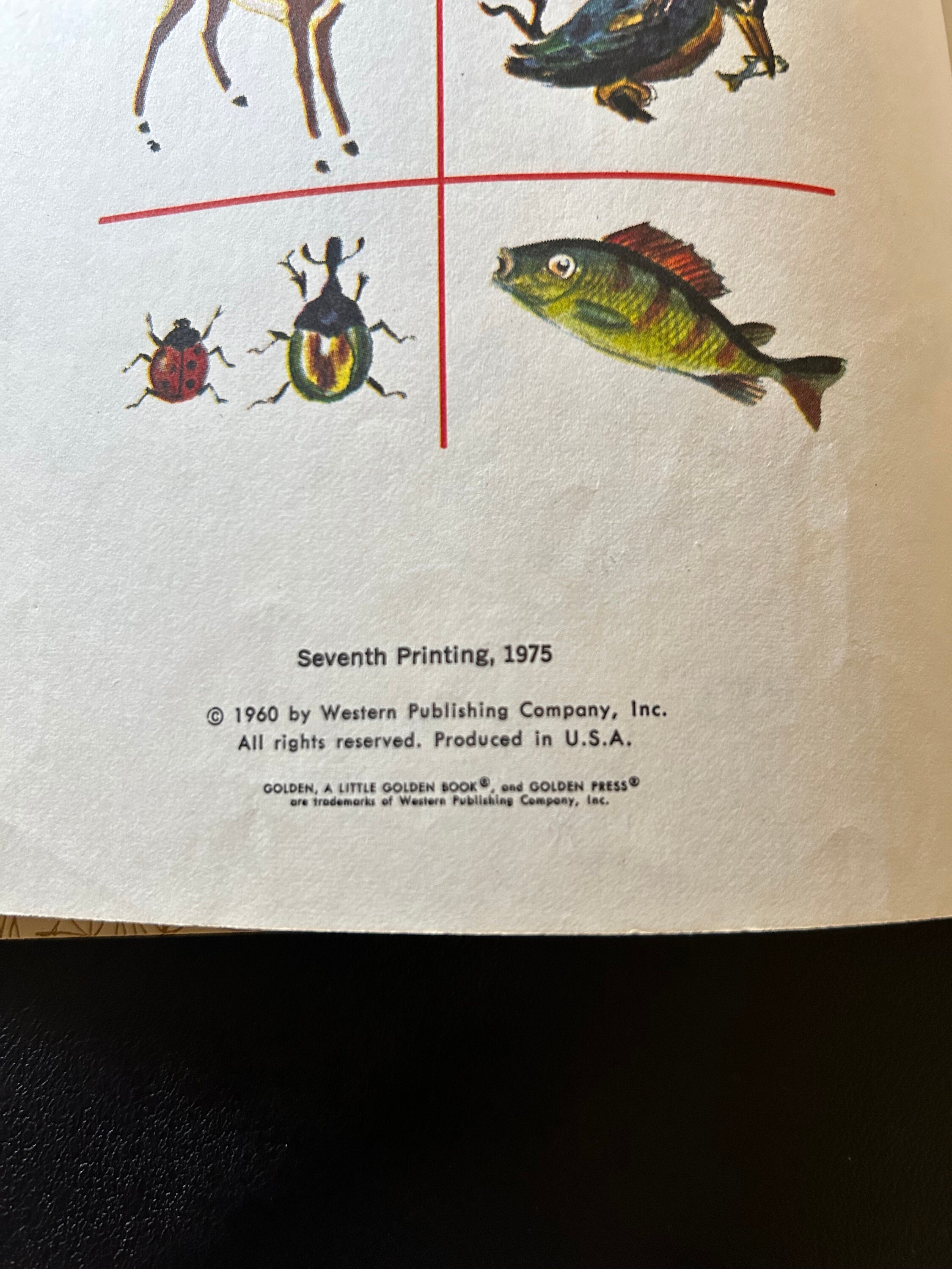 Vintage 1979 Animal Dictionary A Little Golden Book by Jane Werner ...