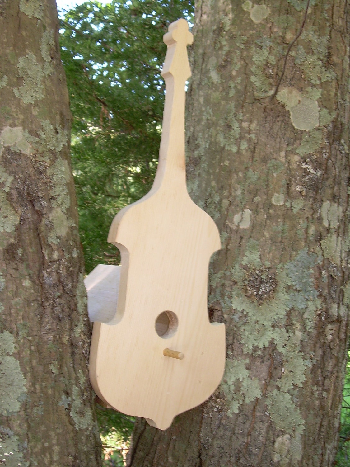 Guitar Banjo Mandolin Fiddle Bass Instrument Bird House; Gifts for ...