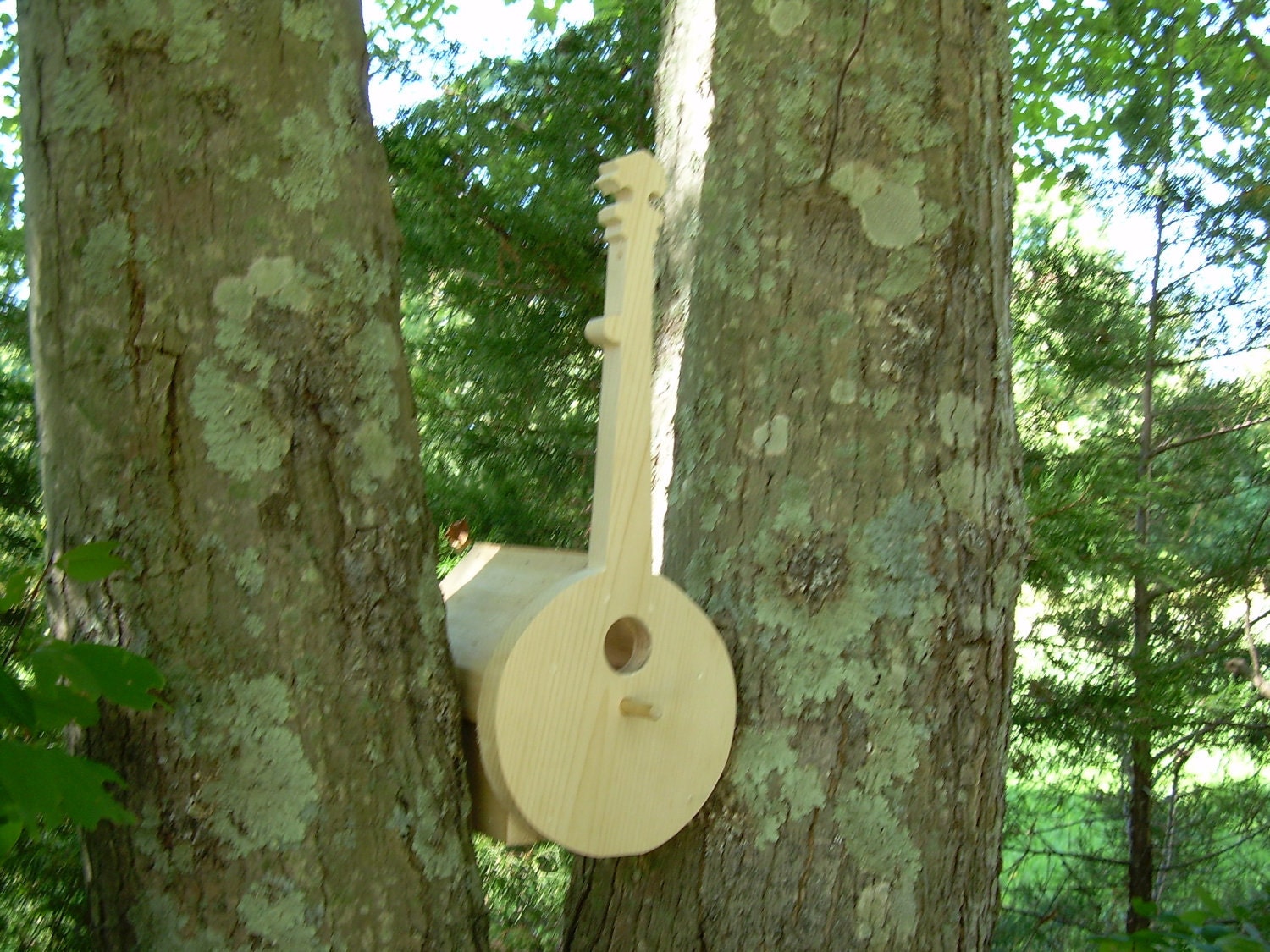 Guitar Banjo Mandolin Fiddle Bass Instrument Bird House; Gifts for ...
