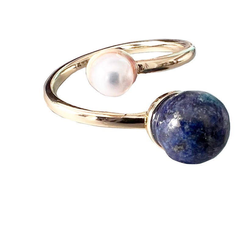Earth Day Artemis Ii - Etsy