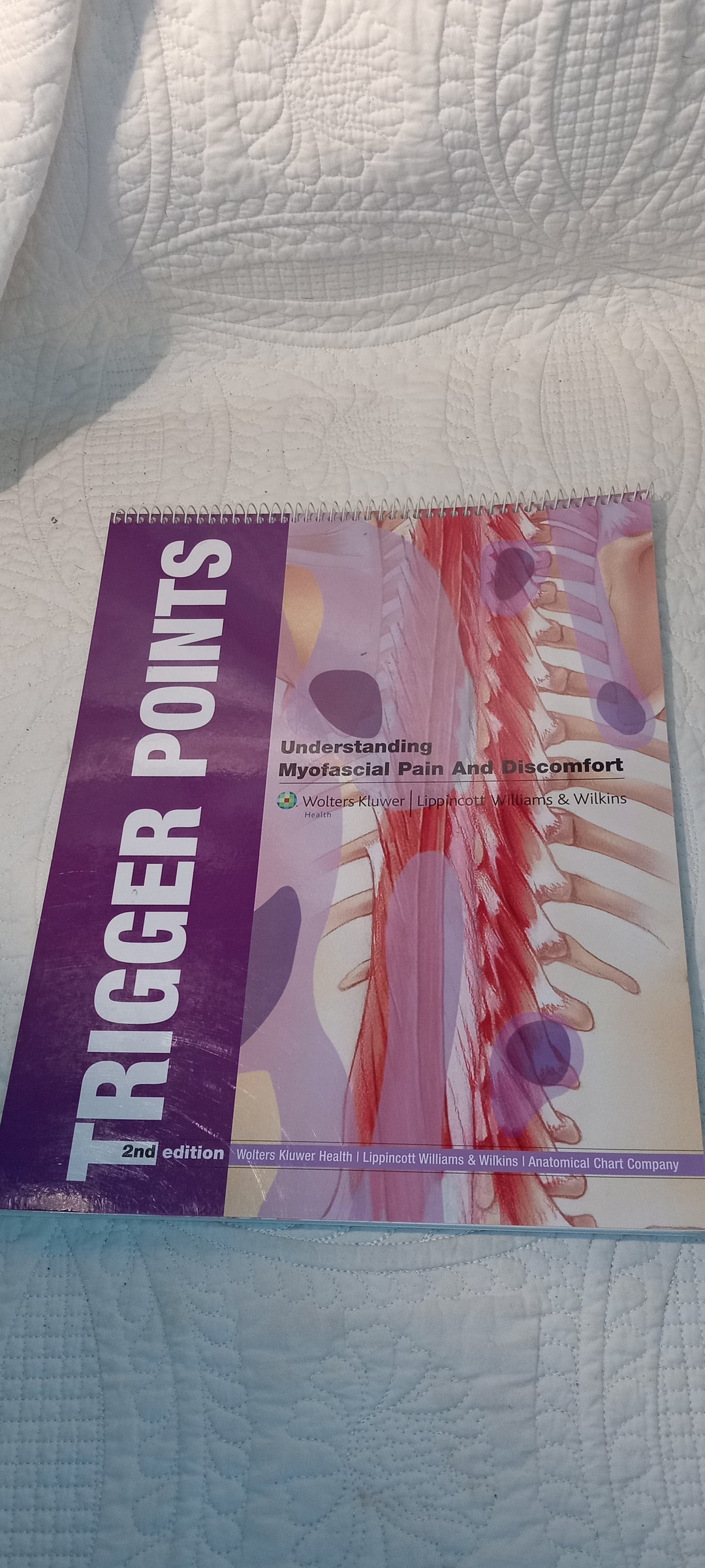 Trigger Points Flipbook : Understanding Myofascial Pain and Discomfort ...