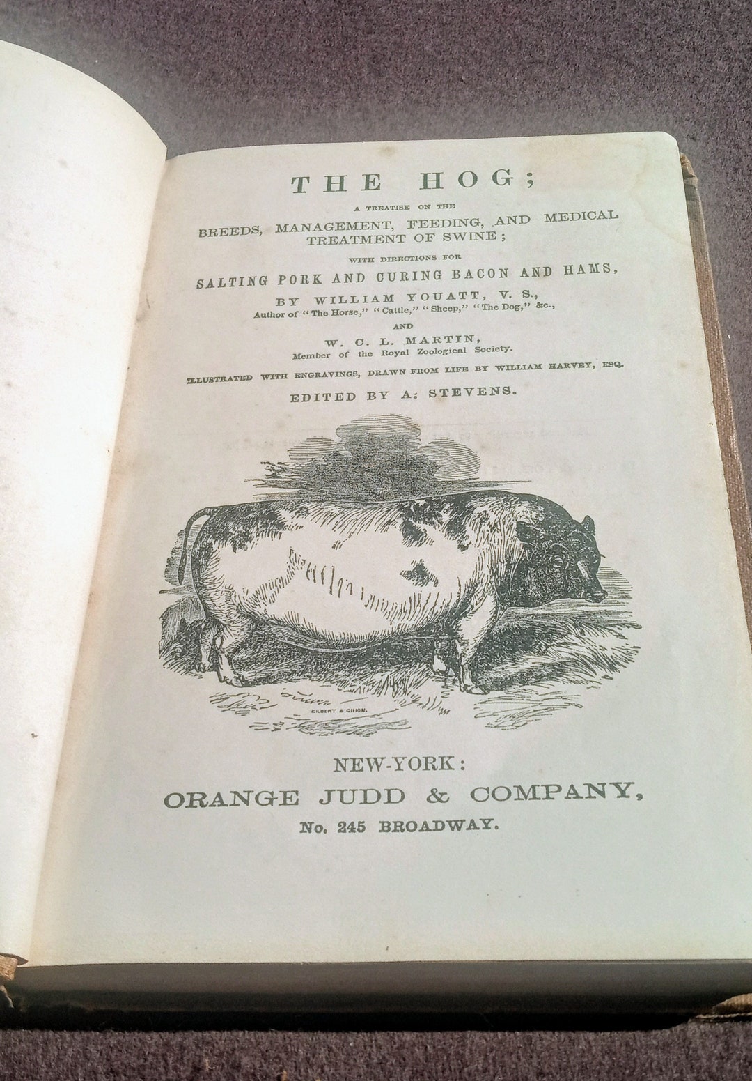 Rare 1855 First Edition the Hog Breeds Management Feeding and Medical ...